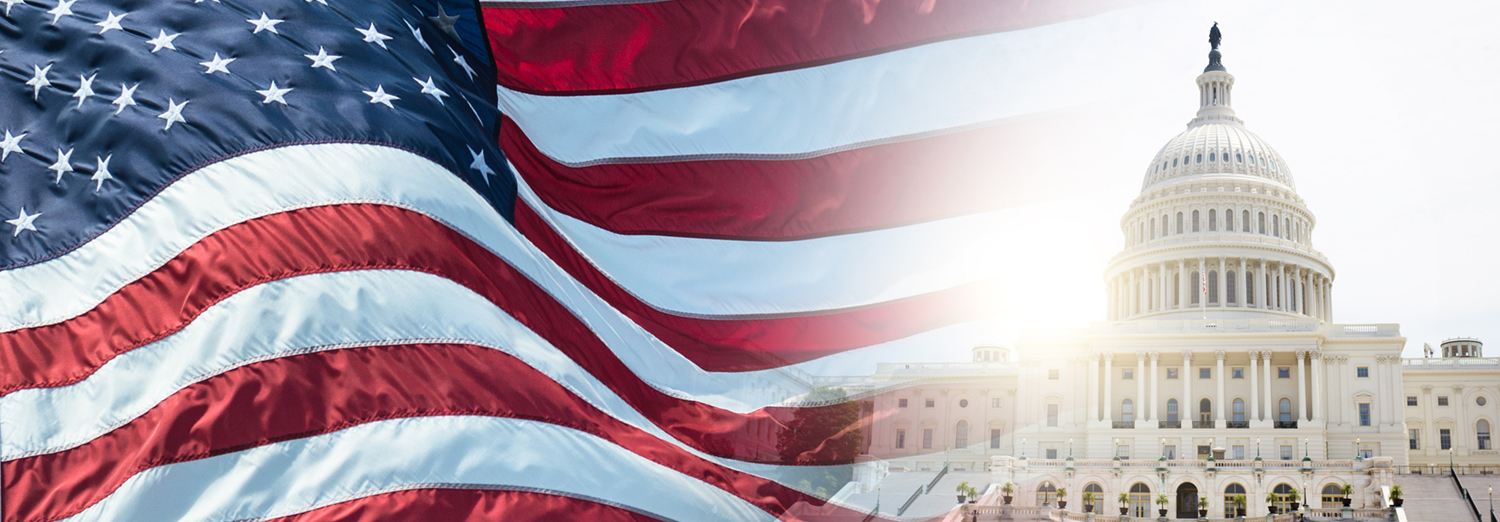 Voice Data Security - Capability Statement